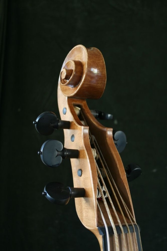 violone in G